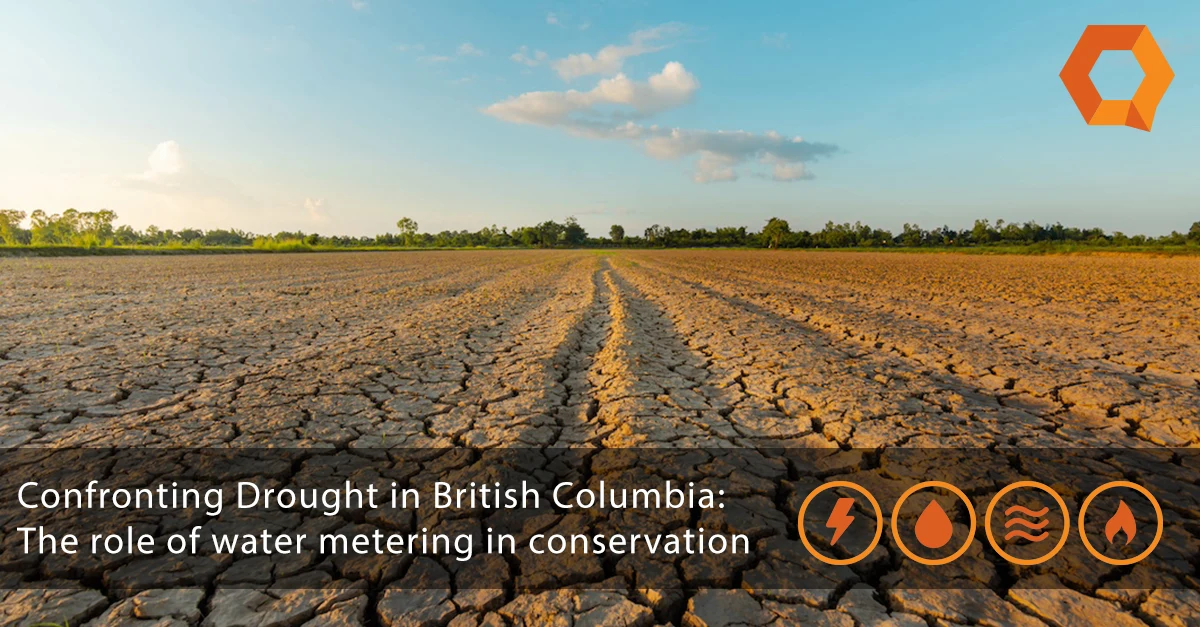 The Role of Water Metering in Conservation in BC - QMC